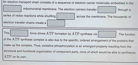 An Electron Transport Chain Consists Of A Sequence Of Electron Carrier Molecules Embedded Biology