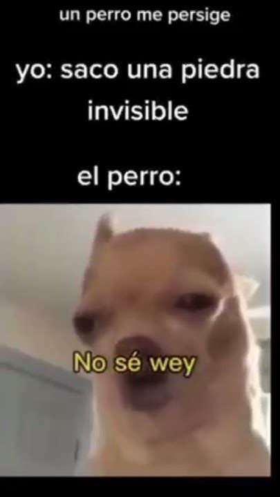 Apoco Si Muy Vrgs Youtube