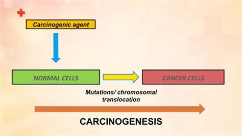 Carcinogens Presentation Ppt Introduction Of Carcinogens And Types Of