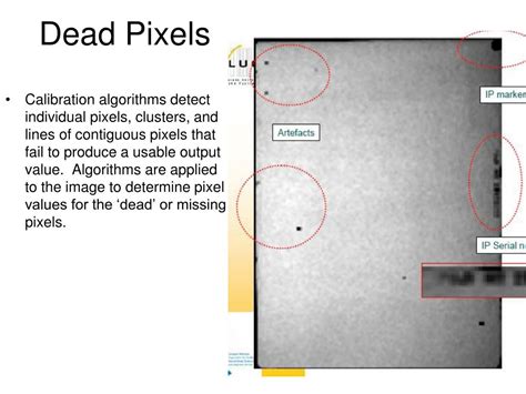 Ppt Qc Pacs Artifact Identification Powerpoint Presentation Free Download Id 671918