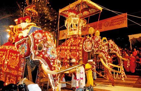 The Famous Kandy Perahera In Sri Lanka The Summit Hotel Kandy