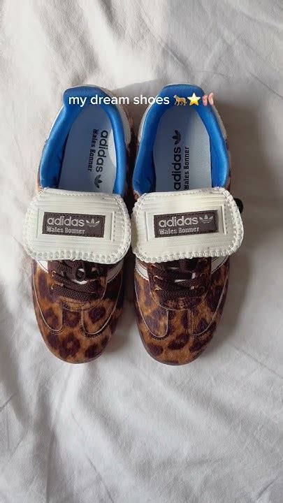 Leopard Sambas ⭐️🐆 Youtube