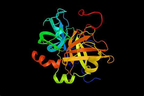 5 Coagulation Factor Ii Thrombin Royalty Free Photos And Stock Images Shutterstock