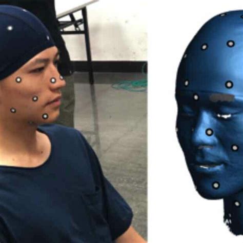 Scanned Three Dimensional Head And Face Download Scientific Diagram