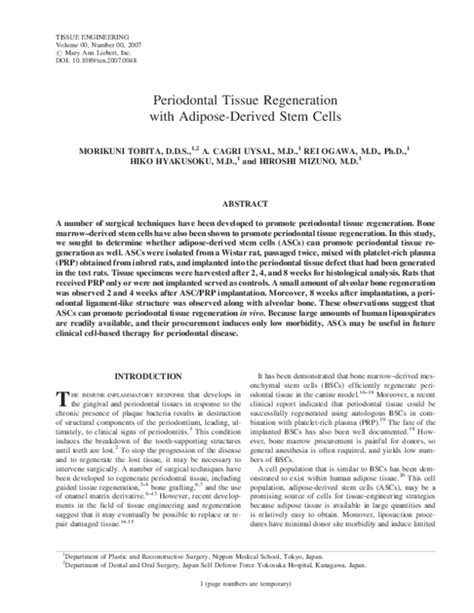 Pdf Adipose Derived Stem Cells For Periodontal Healing