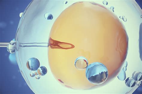 클로즈업 보기 3d 그림 유리 바늘 기름 지 게 한 여성 계란 개념 과학 실험에서 정자 주입 Dna에 대한 스톡 벡터 아트 및 기타 이미지 Istock