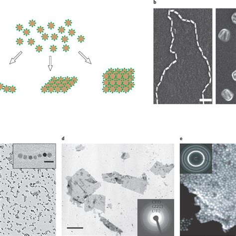 Self Assembly Of Nanoparticles At Interfacesa Schematic Of The