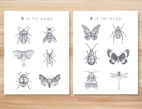 Bugs Coloring Sheet Etsy