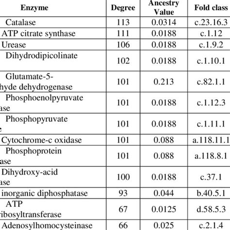 Flow Chart For The Construction Of Enzyme Centric Network Download Scientific Diagram