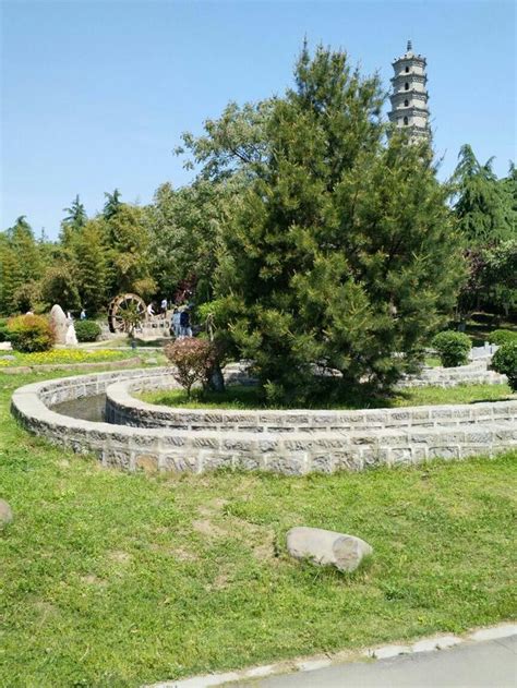 阜陽旅遊攻略：阜陽生態園——適合親子游 每日頭條