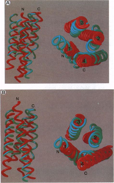 Comparison Of Best Helix Packing Models That Were Isolated After
