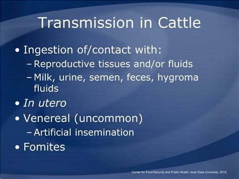 Ppt Bovine Brucellosis Brucella Abortus Powerpoint Presentation Free Download Id 3302075