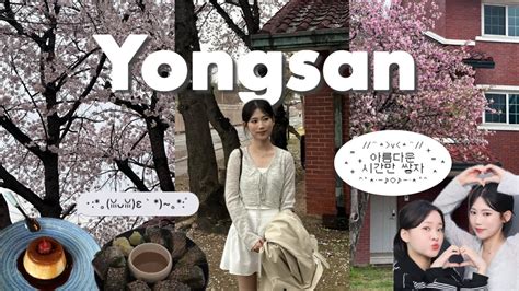 Vlog 용산 브이로그를 낋여오너라 용산공원 용산핫플 벚꽃 서울 용산카페 서울여행 용산여행 Youtube