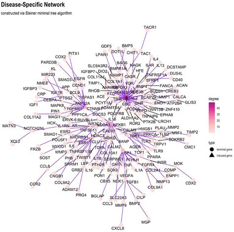 Network Analysis Of Osteoarthritis Progression Jir