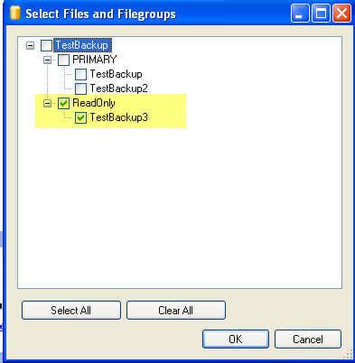 Sql Server Filegroup Backups