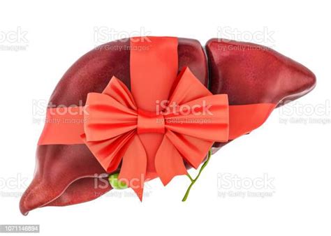 활과 리본으로 인간의 간입니다 흰색 배경에 고립 된 3 차원 렌더링 3차원 형태에 대한 스톡 사진 및 기타 이미지 3차원 형태 간 내부 기관 개념 Istock