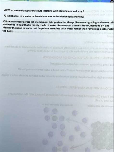 A What Atom Of 2 Water Molecule Interacts With Sodium Ions And Why 8 What Atom Ofa Water
