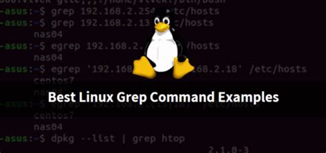 Best Linux Grep Command Examples