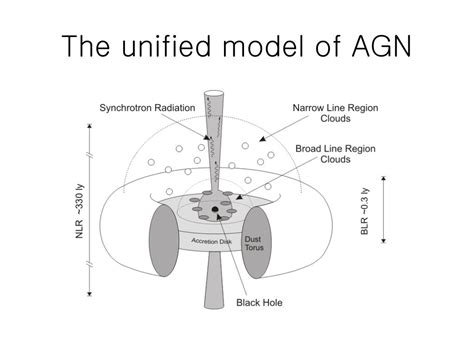 Ppt 463 Host Galaxies Of Agn 464 The Unified Model Of Agn