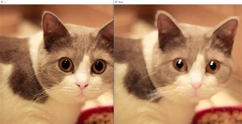 Opencv图像的腐蚀和膨胀膨胀白像素 Csdn博客