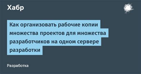 Как организовать рабочие копии множества проектов для множества разработчиков на одном сервере