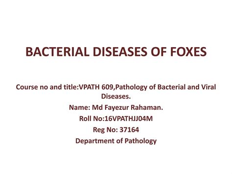 Bacterial Diseases Of Foxes Pptx