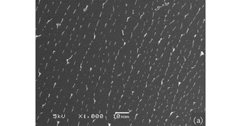 Liquid Templating For Nanoparticle Organization Into Complex Patterns