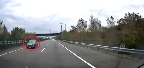 國6愛蘭段驚見三寶！小轎車逆向狂衝 目擊車主嚇壞：真的不要命 社會 Nownews今日新聞