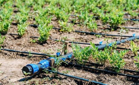 Types Of Irrigation Kpstructuresin