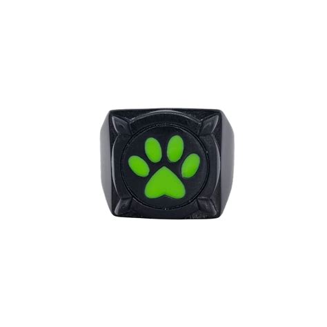 Miraculous Cat Noir Ring Zag Store