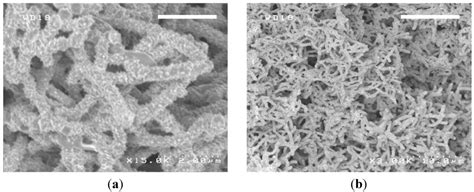 Conducting Polyaniline Nanowire And Its Applications In Chemiresistive Sensing