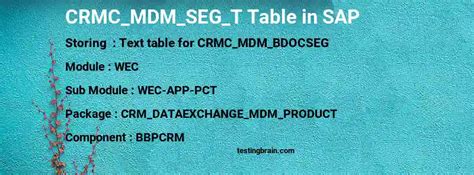 CRMC MDM SEG T SAP Table For Text Table For CRMC MDM BDOCSEG