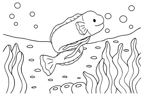 20 Eel Coloring Pages Free Printable Pdf And Online Coloring