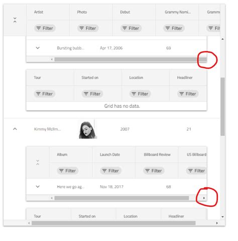 In Igxhierarchicalgrid After A Filtered Row Gets Expanded Its