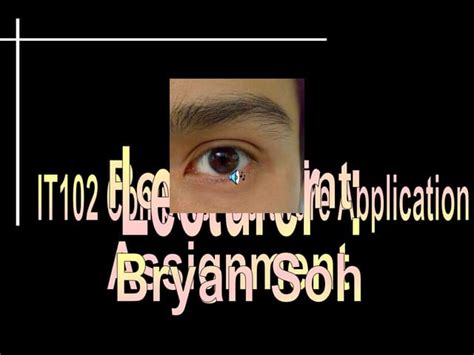 Niak Siow Ling M2010 0117 Ppt