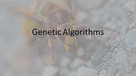 Ppt Evolutionary Computation Powerpoint Presentation Free Download