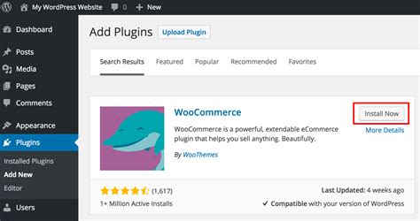 how to install woocommerce ecenica