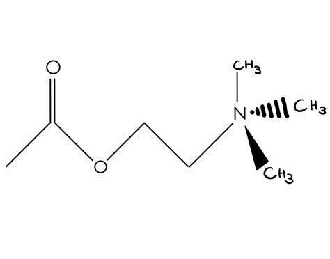 Molecule A Quiz