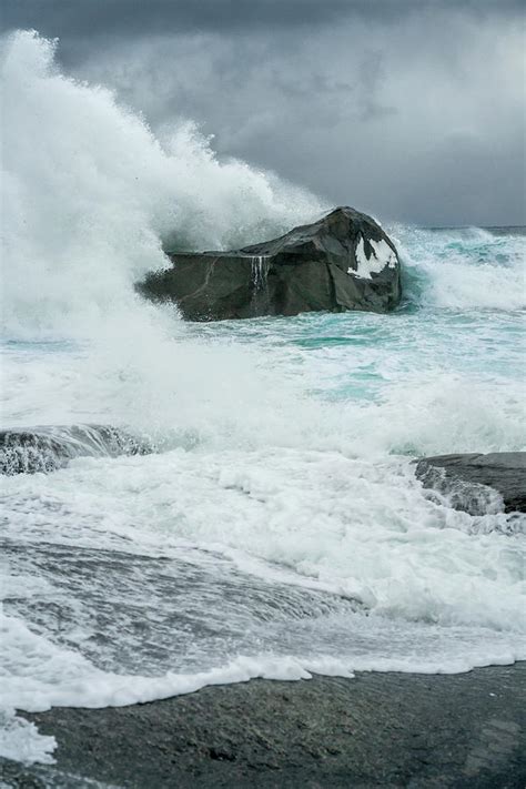 Mighty Roar Photograph By Chris Alexander Lunder Fine Art America