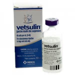 Vetsulin Pet Insulin Availability VetRxDirect BlogVetRxDirect Blog