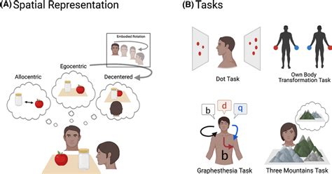 A Schematic Illustration Of An Allocentric Egocentric And Decentred Download Scientific