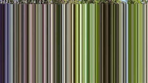 How To Take Camera Snapshot Correctly Configuration Home Assistant Community