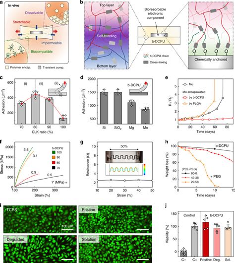 Stretchable Dynamic Covalent Polymers For Soft Long Lived Bioresorbable Electronic Stimulators