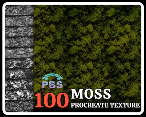100 Procreate Moss Texture Moss Texture For Procreate Moss Texture 100 Procreate Moss Texture Moss Texture For Procreate Moss Texture