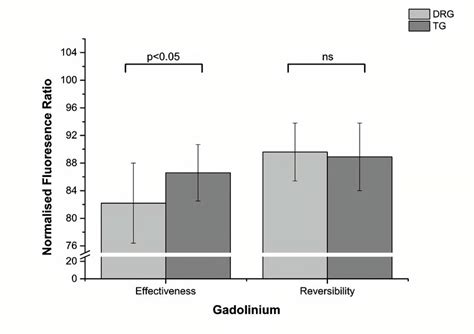 The Effects Of The Gadolinium On Intracellular Calcium In Rat Tg And