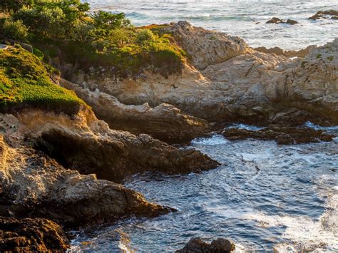 Free Images Beach Landscape Sea Coast Tree Nature Rock Ocean