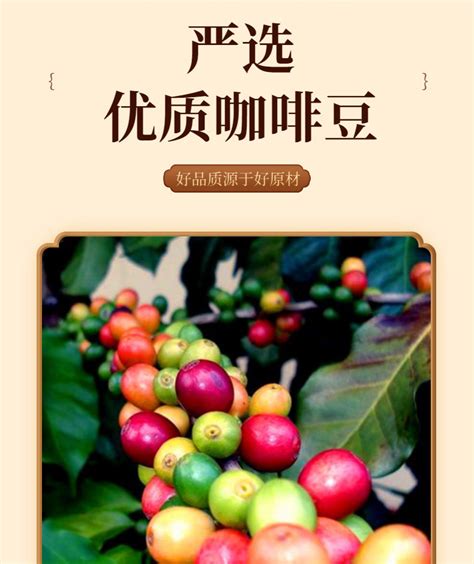 冷热双泡白芸豆黑防弹咖啡2克x20条即溶速溶美式咖啡粉饱腹黑咖啡 阿里巴巴