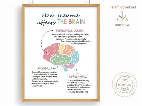 How Trauma Affects The Brain Trauma And The Brain Brain Etsy