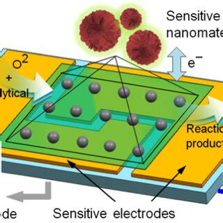 Schematic Diagram Of Sensor Structure And Basic Principle Of Gas Response Download Scientific