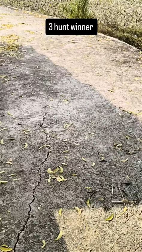 The Grand Opening January Hellotekkali Tekkaliofficial Atoz